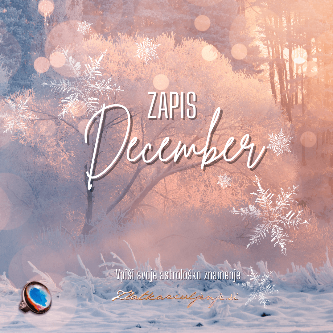 ZAPIS mesec DECEMBER | Zlatkazivljenje.si